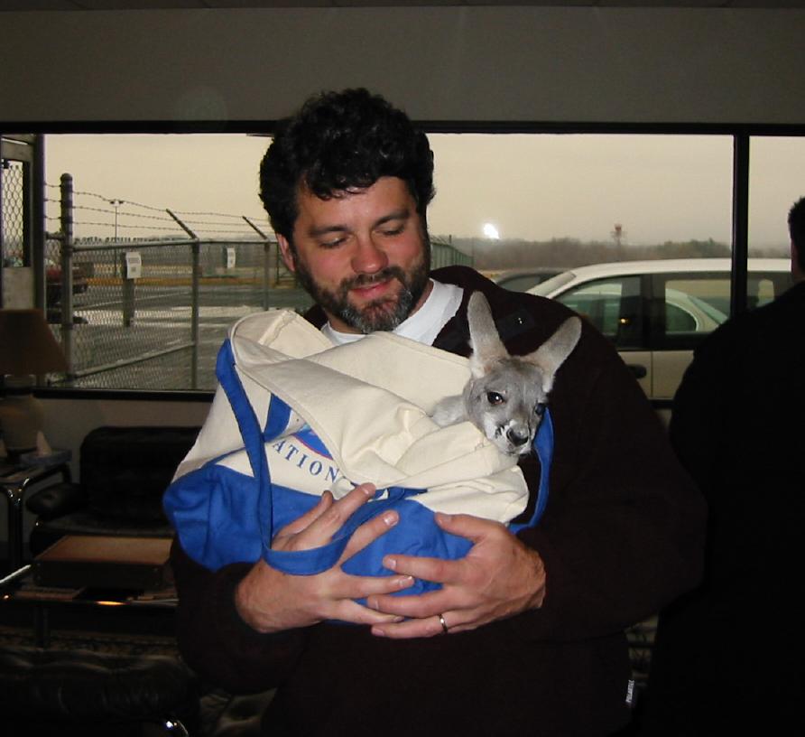 Elvis the Kangaroo and DC